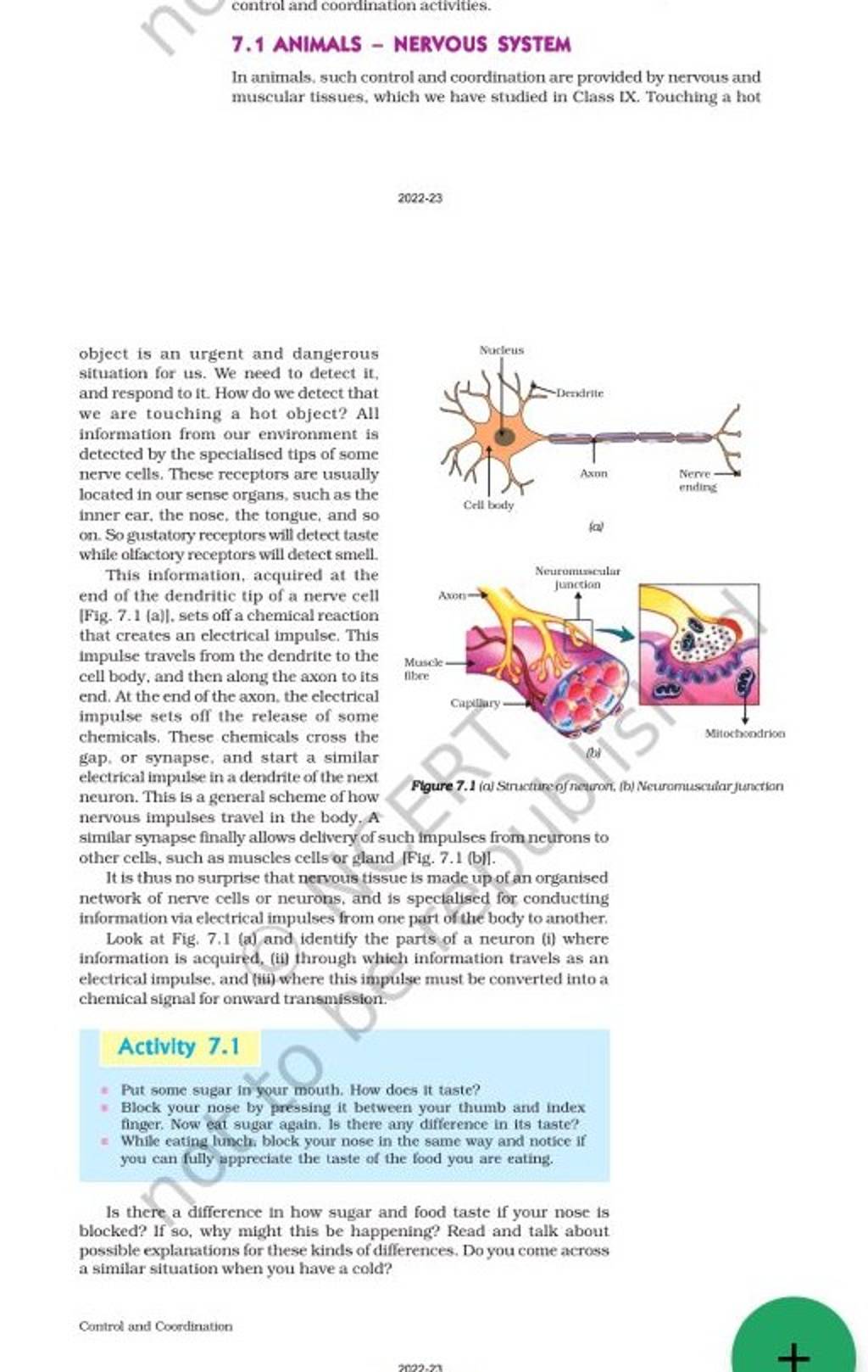 7.1 ANIMALS - NERVOUS SYSTEM In animals, such control and coordination ar..