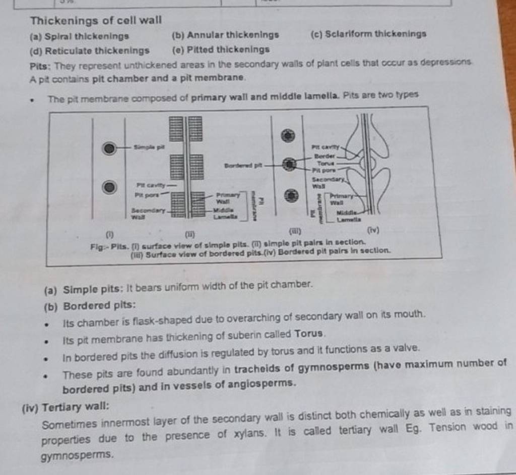 Pits: They represent unthickened areas in the secondary walls of plant ce..