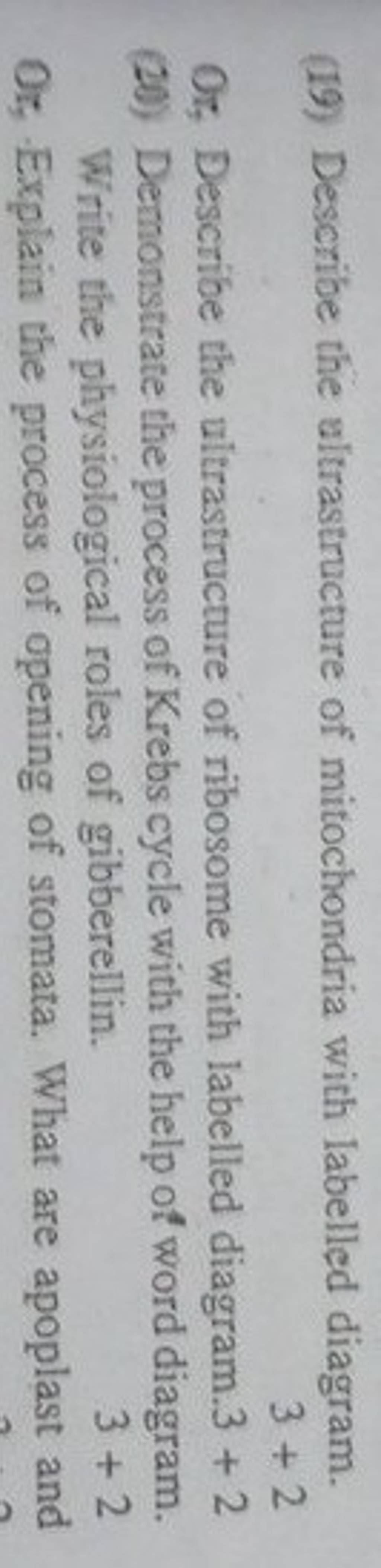 (19) Describe the ultrastructure of mitochondria with labelled diagram. 3..