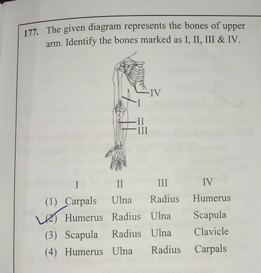 The given diagram represents the bones of upper arm. Identify the bones m..