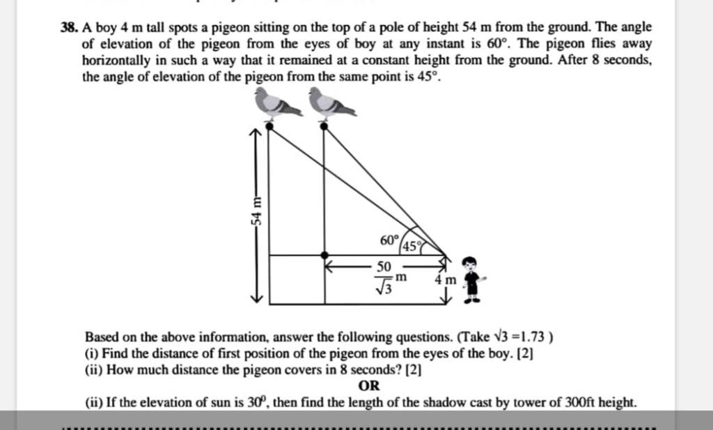 38. A boy 4 m tall spots a pigeon sitting on the top of a pole of height