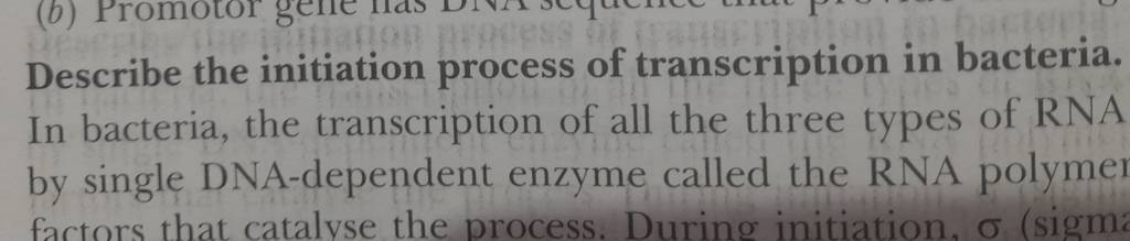Describe the initiation process of transcription in bacteria. In bacteria..