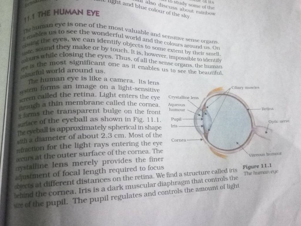 (f. 1 THE HUMAN EYE fich truman eye is one of the most valuable and sensi..