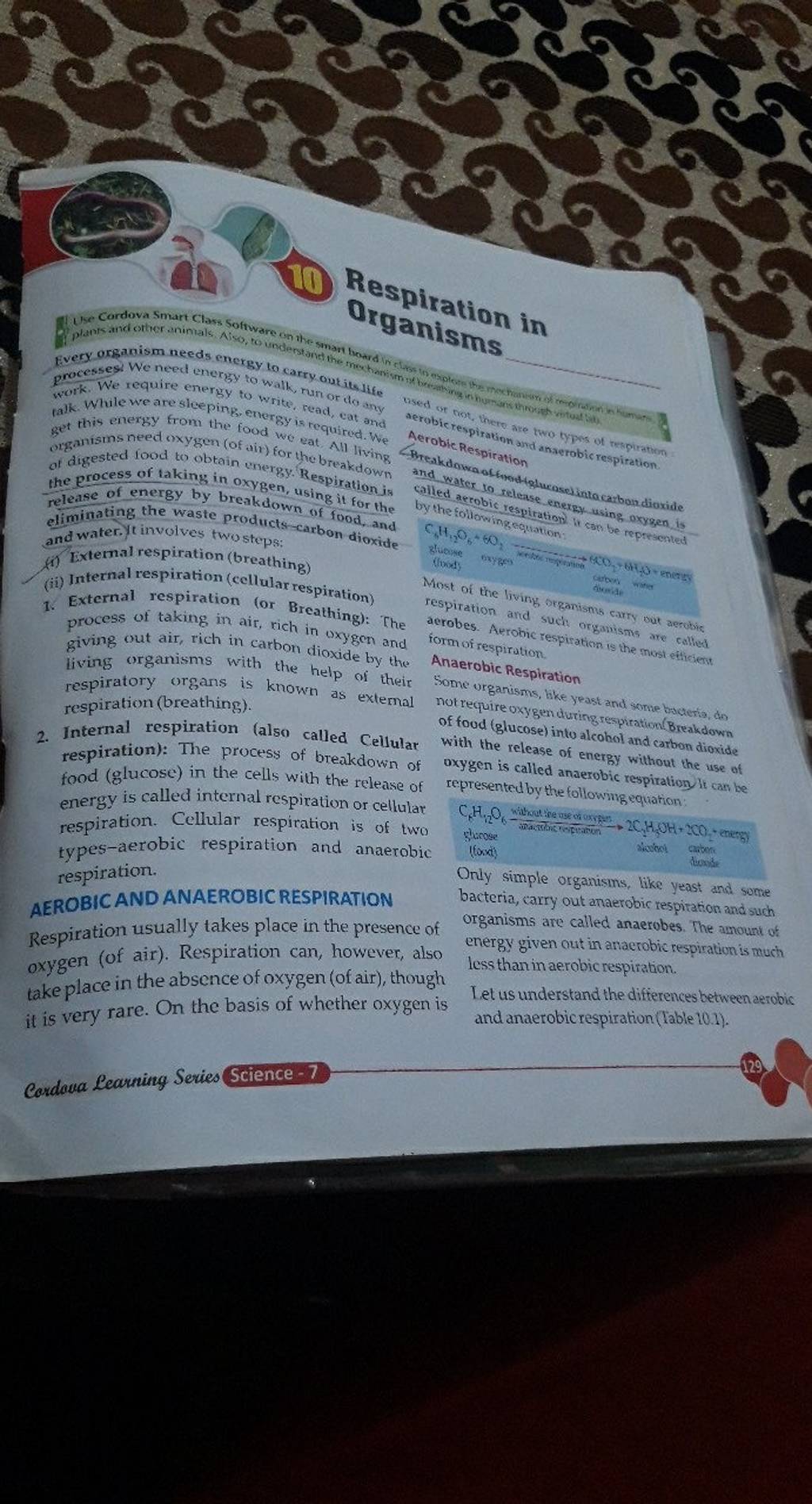 10 Respiration in Organisms used or not, there are two types of respirati..