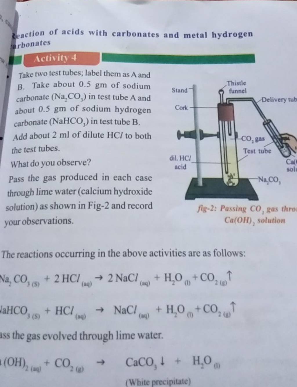 zeaction of acids with carbonates and metal hydrogen rbonates Activity 4