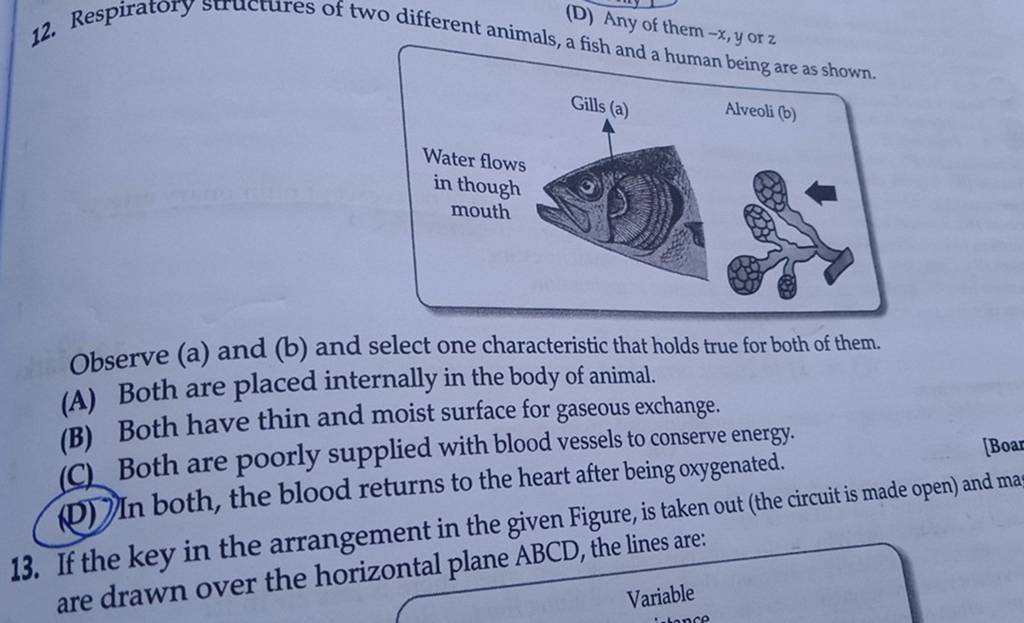 two different animals, a fish and a human being are as shown. Observe (a)..