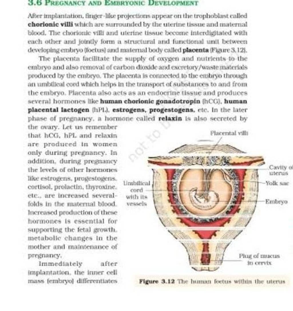 Afer implantation, finger-lise projections appear on the trophoblast call..