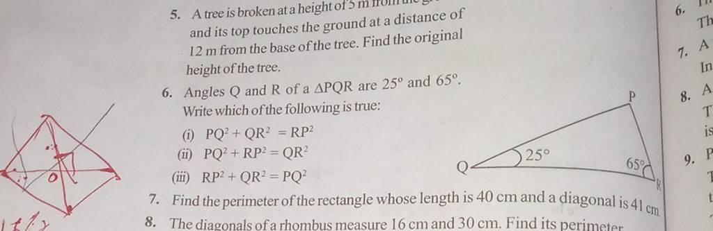 5. A tree is broken at a height of and its top touches the ground at a 12..