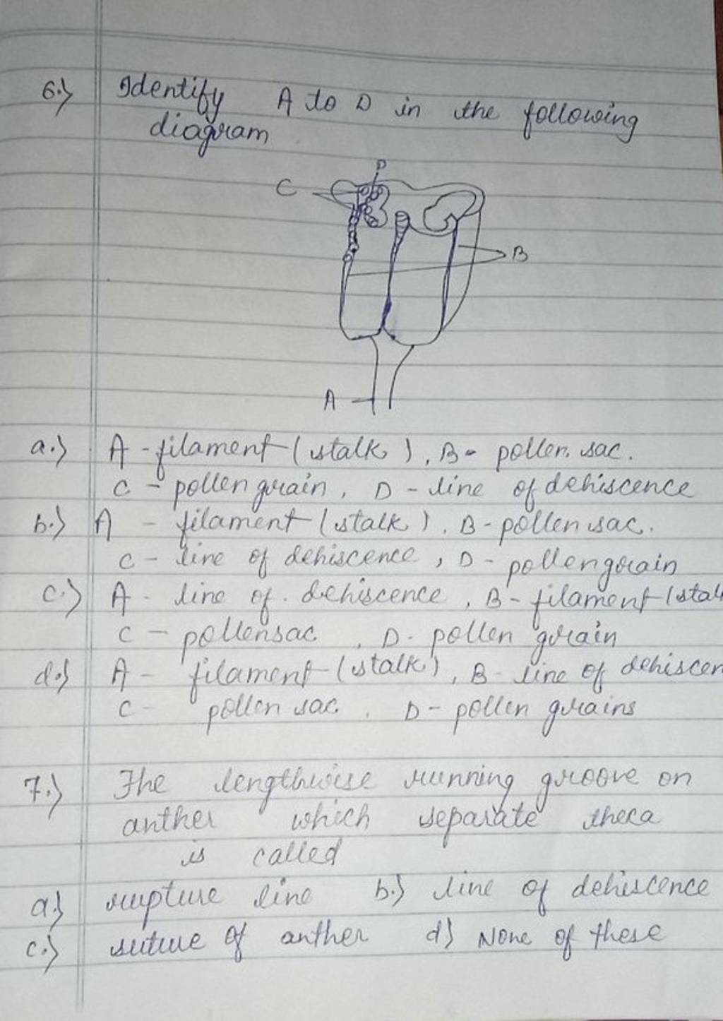 Identify A to D in the following diogram | Filo