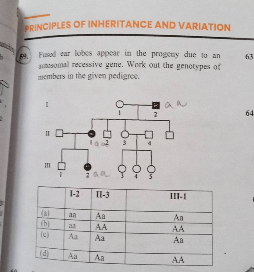 PRINCIPLES OF INHERITANCE AND VARIATION 59. Fused ear lobes appear in the..
