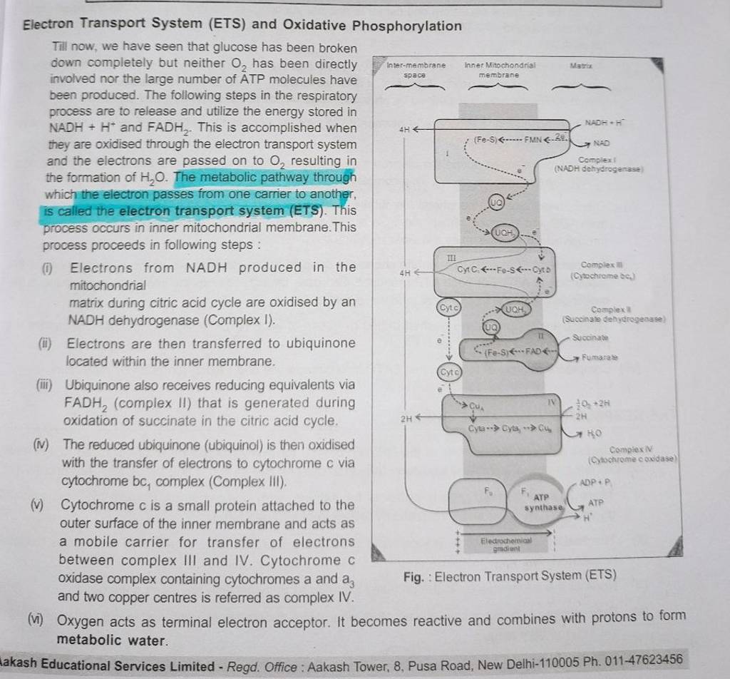 Electron Transport System (ETS) and Oxidative Phosphorylation Till now, w..