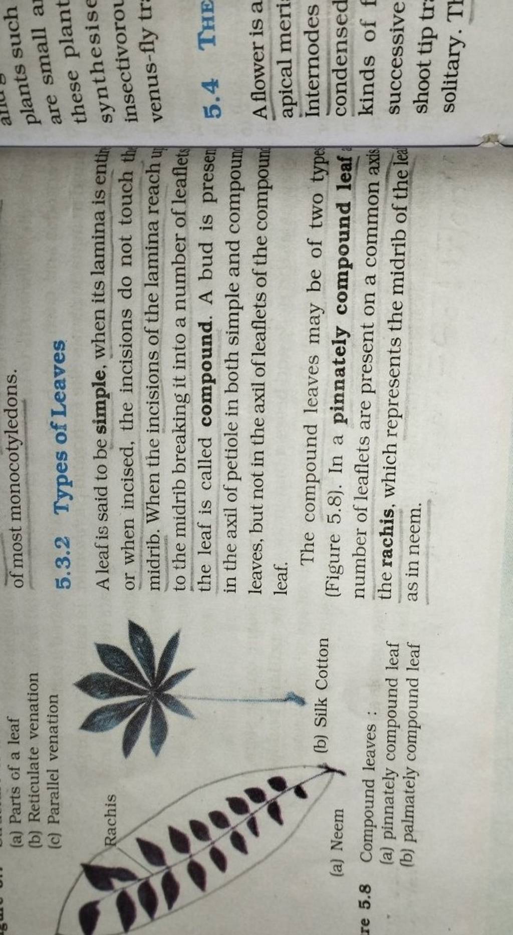 (a) Parts of a leaf (b) Reticulate venation (c) Parallel venation Rachis