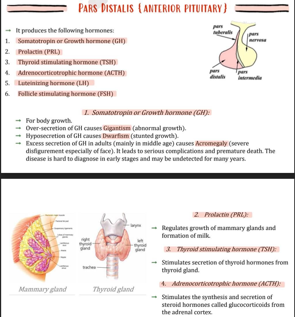 PaRS DISTALIS \{ANTERIOR PITUITARY\} → It produces the following hormones..