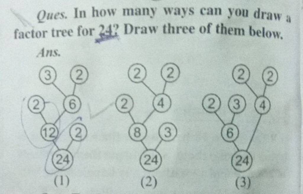 Ques In How Many Ways Can You Draw A Factor Tree For 24 Draw Three Of T ques-in-how-many-ways-can-you-draw-a-factor-tree-for-24-draw-three-of-t