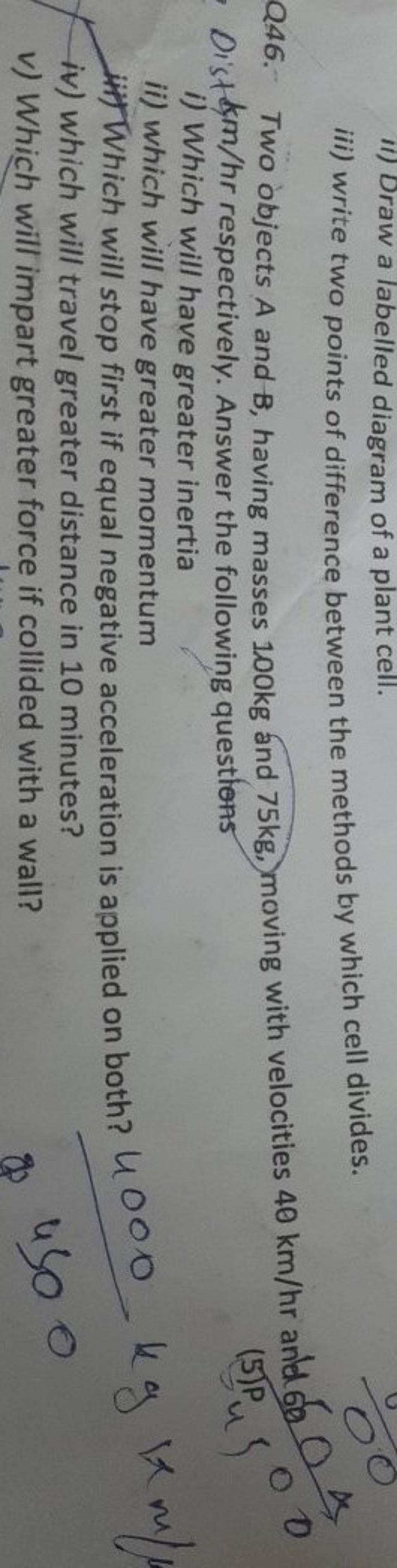 11) Draw a labelled diagram of a plant cell. iii) write two points of dif..