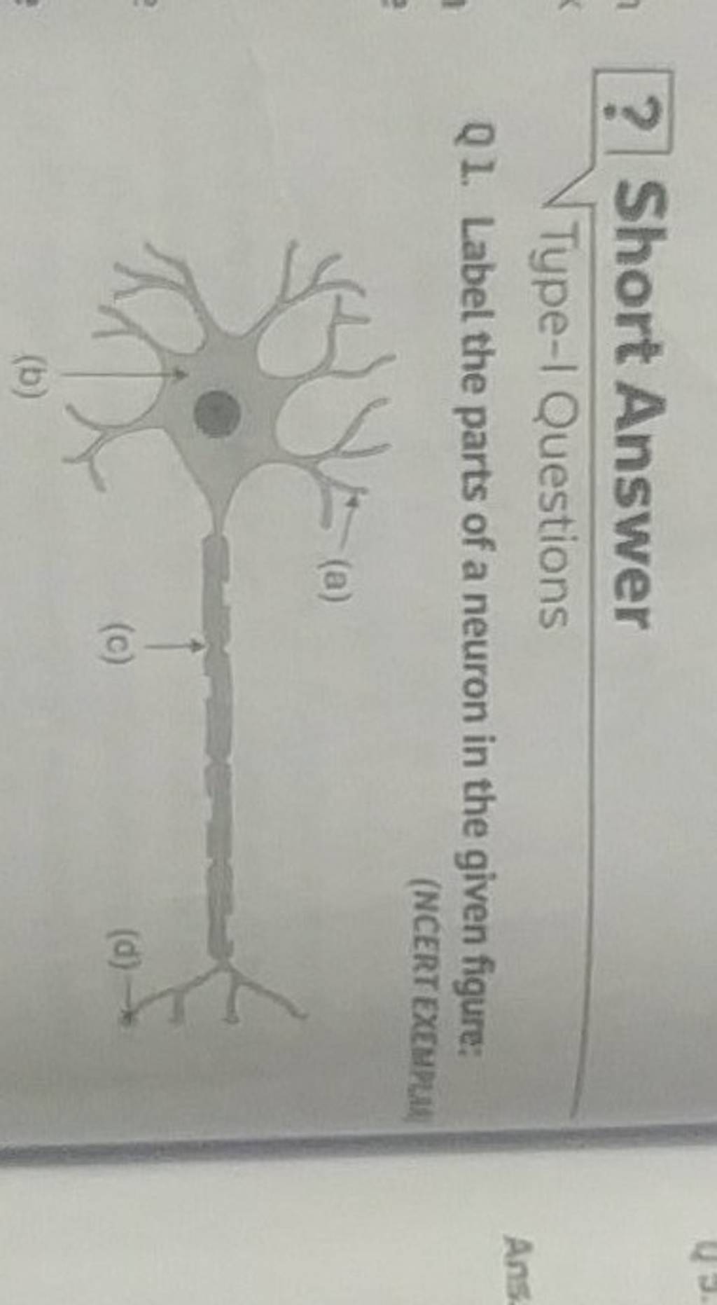 ? Short Answer Type-I Questions Q1. Label the parts of a neuron in the gi..