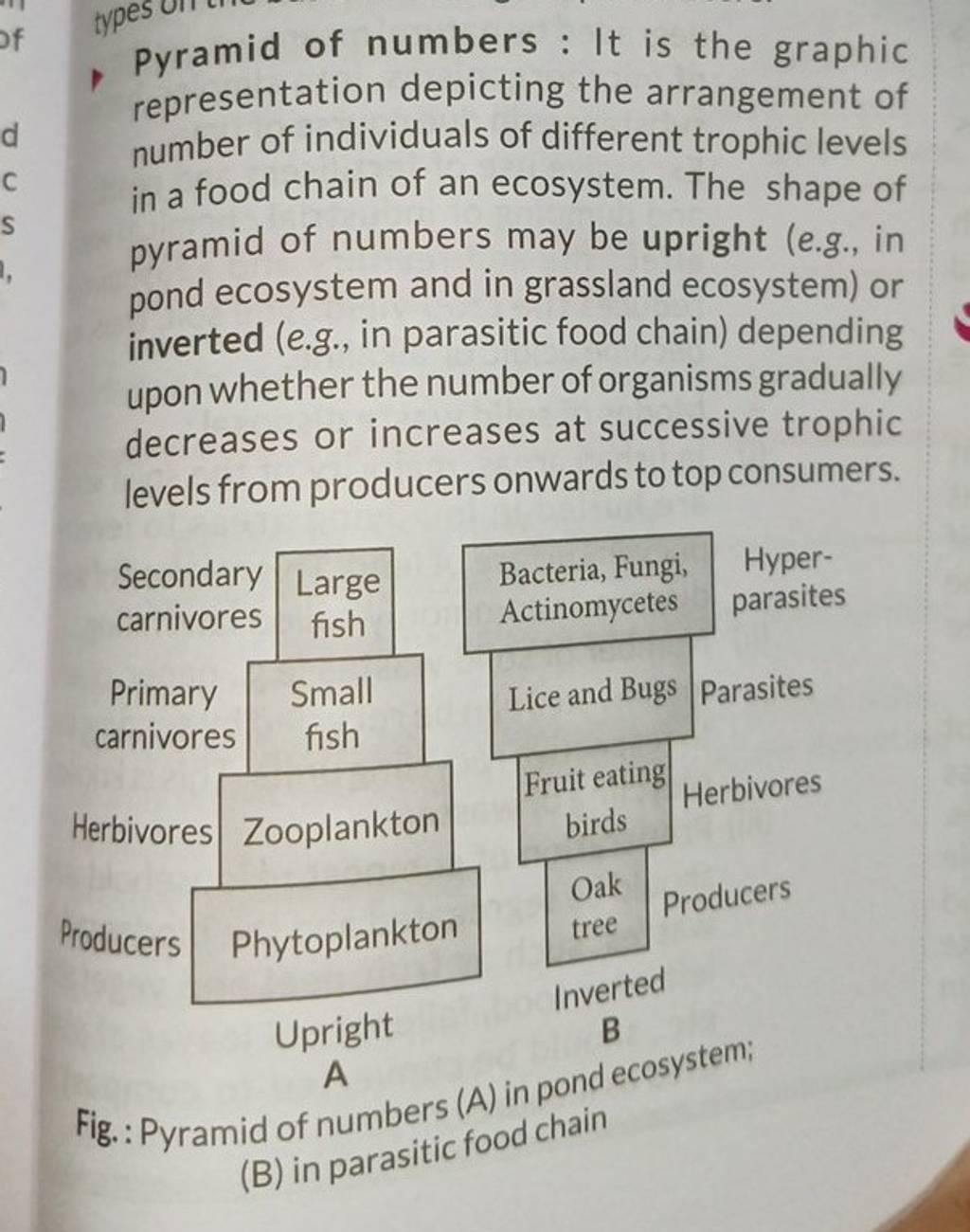 Pyramid of numbers : It is the graphic representation depicting the arran..