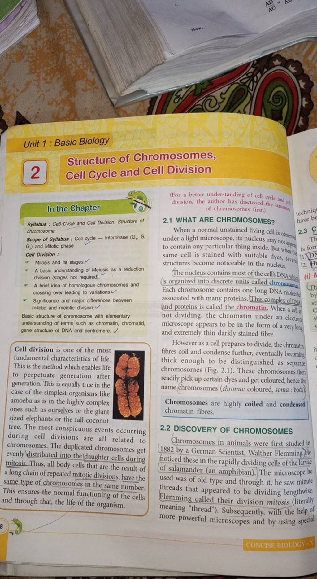 Unit 1: Basic Biology 2 Structure of Chromosomes, Cell Cycle and Cell Div..