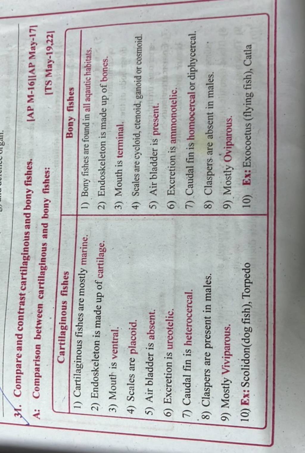 31. Compare and contrast cartilaginous and bony fishes. A: Comparison bet..