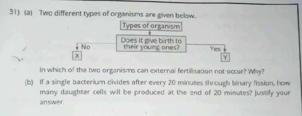 31) (a) Two different types of organisms are given below. Types of organi..