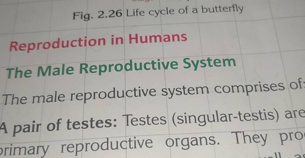 Fig. 2.26 Life cycle of a butterfly Reproduction in Humans The Male Repro..