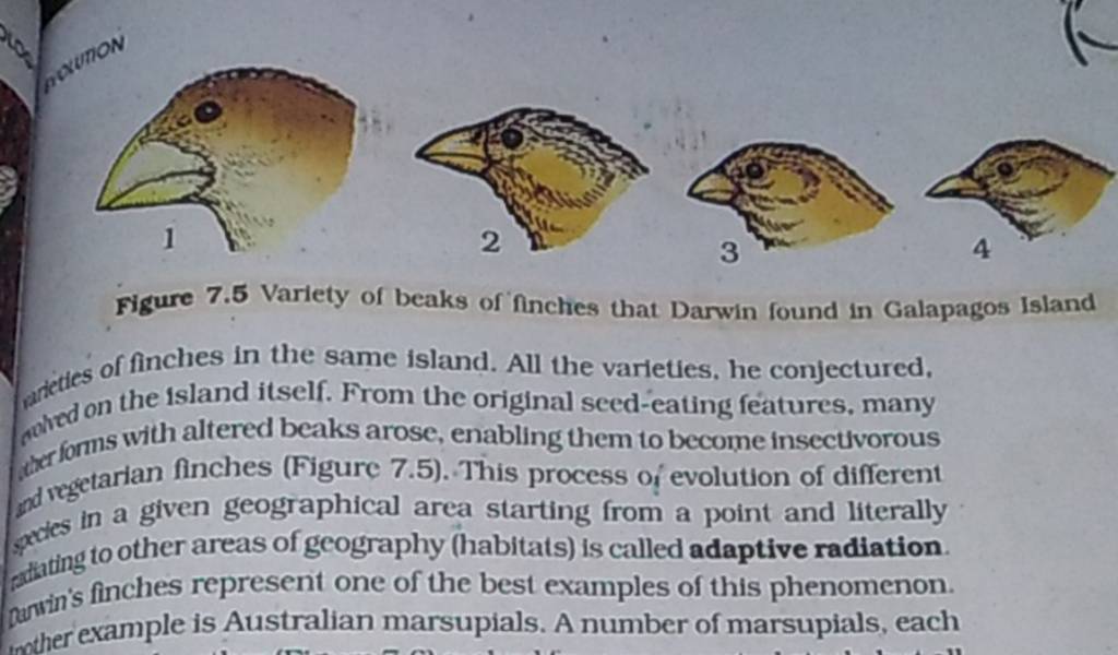 (ρ2v1,0 Figure 7.5 Variety of beaks of finches that Darwin found in Galap..