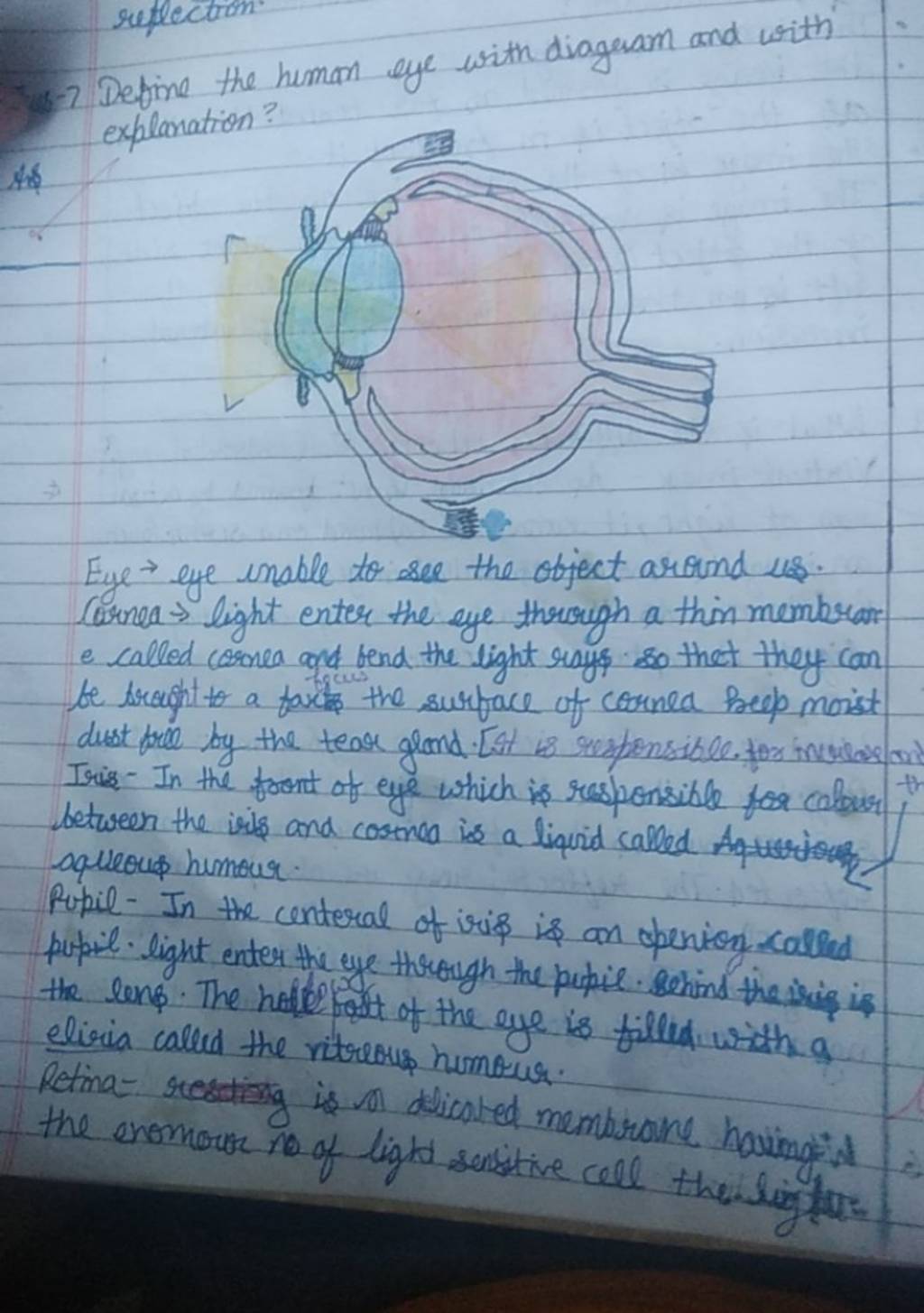 7 Define the human eye with diageram and with explanation? Eye → eye ..