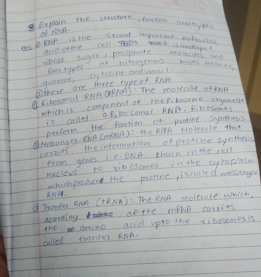 9) Explain the structure, function andtypes of RNA. | Filo