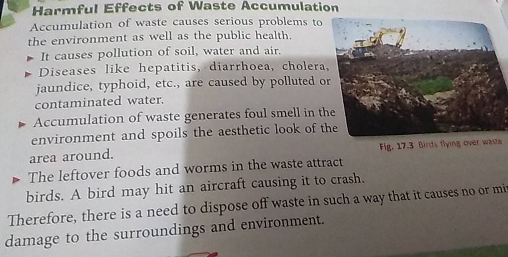 Hamnful Effects of Waste Accumulation Accumulation of waste causes seriou..