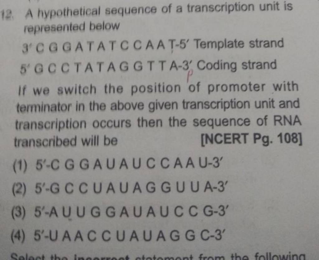 12. A hypothetical sequence of a transcription unit is represented below