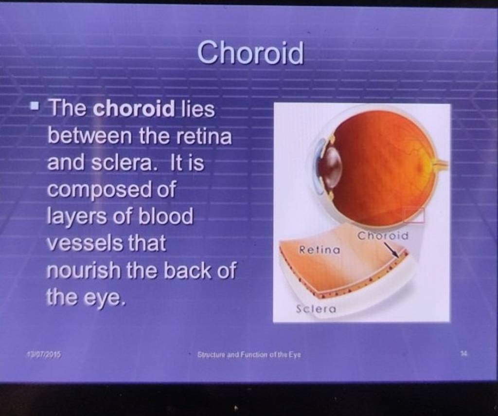 Choroid - The choroid lies between the retina and sclera. It is composed