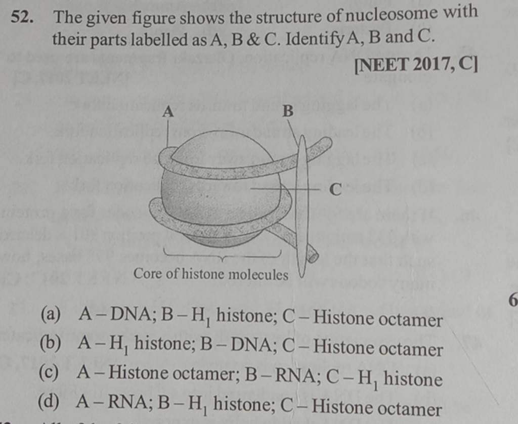 The given figure shows the structure of nucleosome with their parts label.. The given figure shows the structure of nucleosome with their parts label..