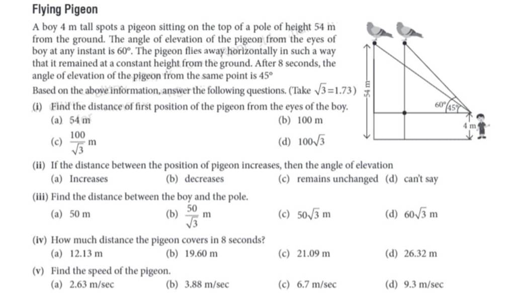 Flying Pigeon A boy 4 m tall spots a pigeon sitting on the top of a pole