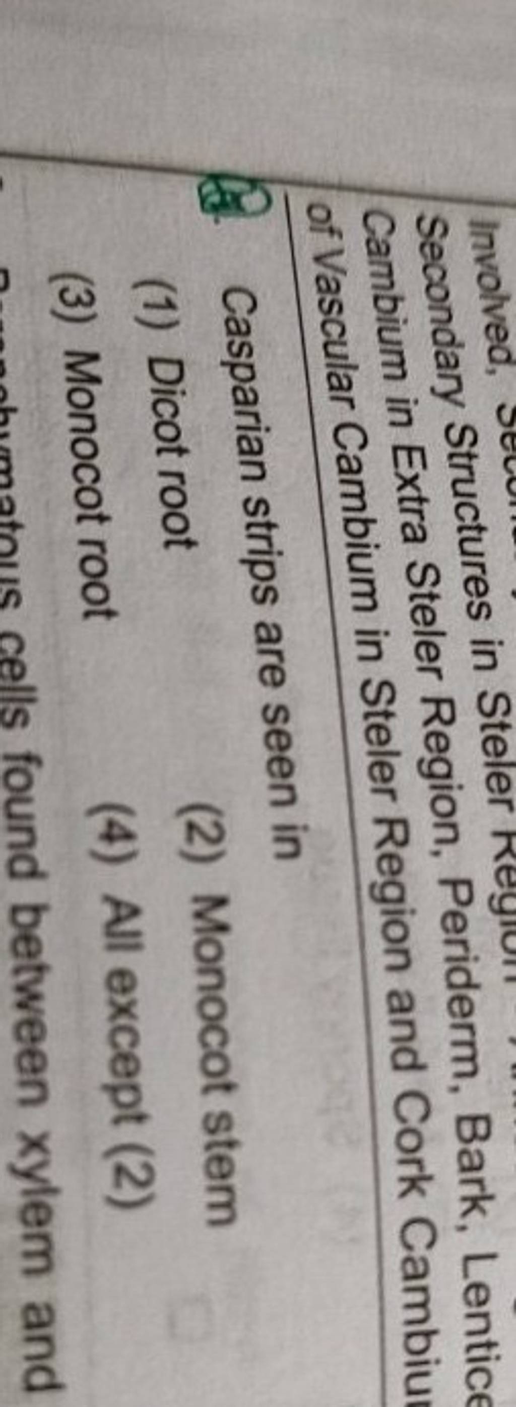 Secondary Structures in Segion, Periderm, Bark, Lentice Cambium in Extra