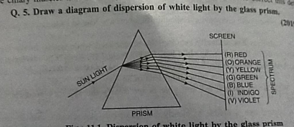 Q. 5. Draw a diagram of dispersion of white light by the glass prism.