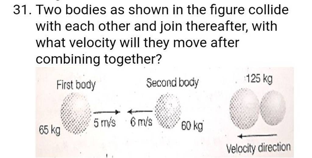 31. Two bodies as shown in the figure collide with each other and join th..