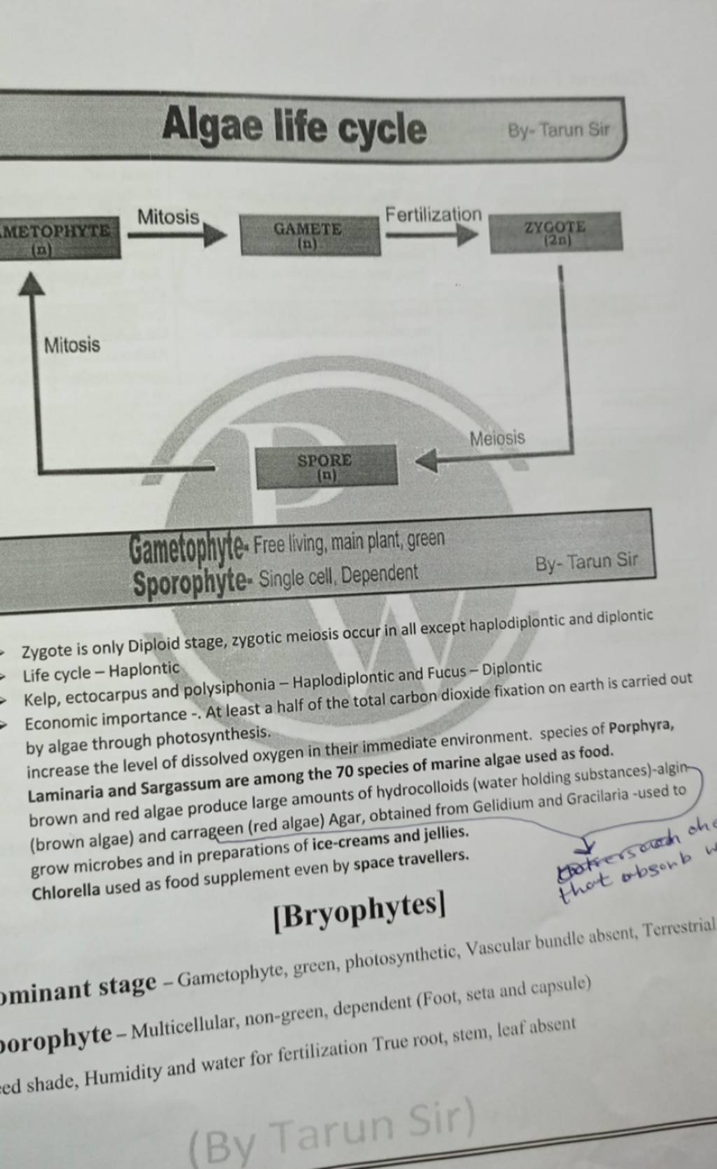 Algae life cycle By- Tarun Sir METOPHYC (a) Mitosis Zygote is only Diploi..