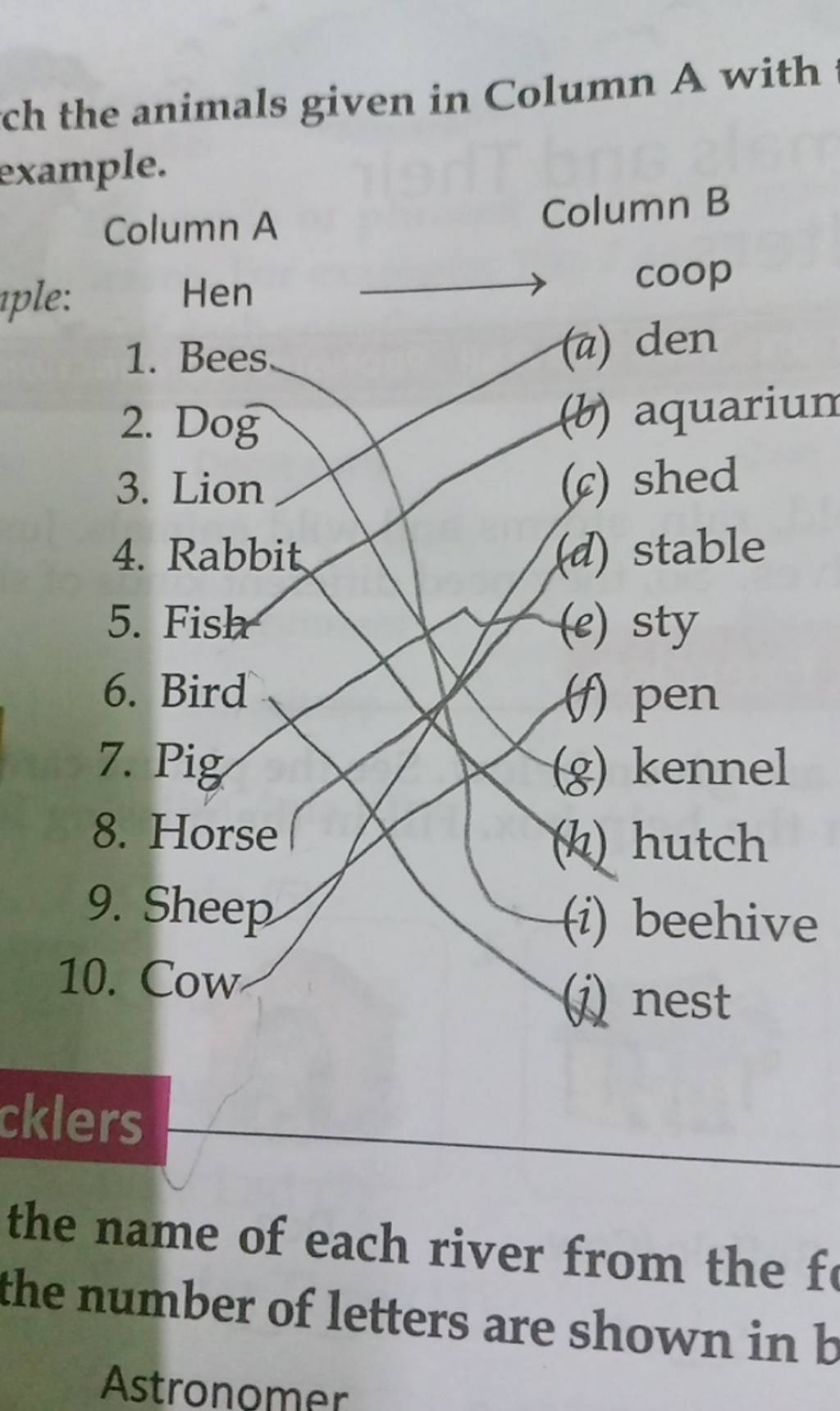 ch the animals given in Column A with example. Column A Column B the name..