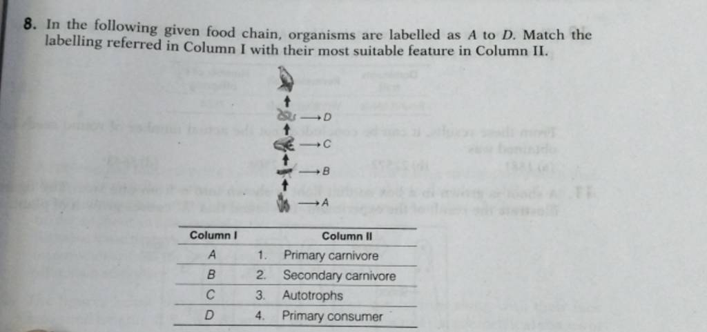 8. In the following given food chain, organisms are labelled as A to D. M..
