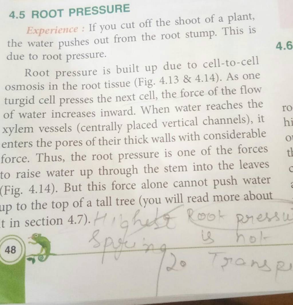 4.5 ROOT PRESSURE Experience : If you cut off the shoot of a plant, the w..
