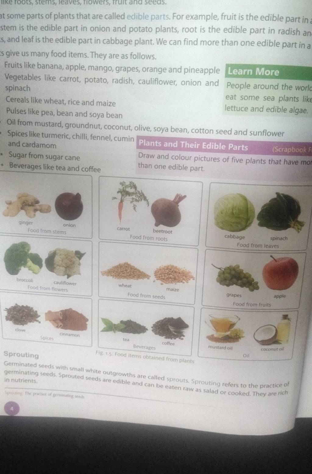 and seeds. like roots, stems, leaves, flowers, at some parts of plants th..