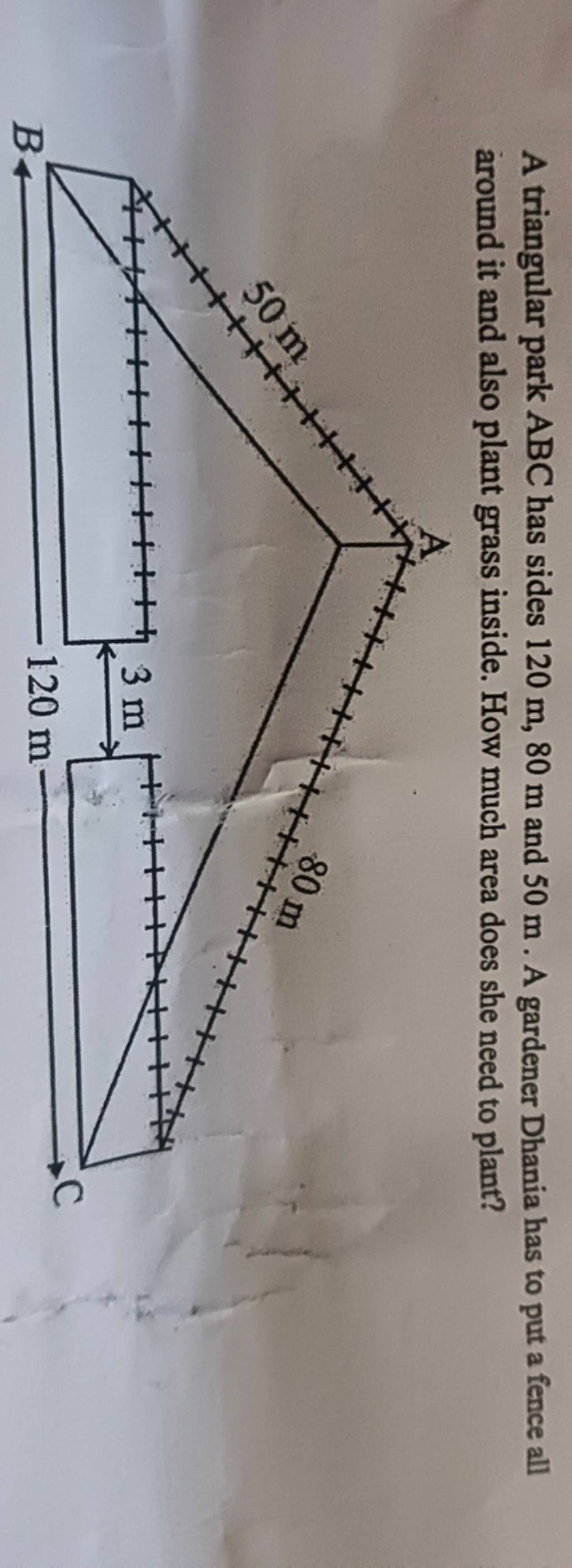 A triangular park ABC has sides 120 m,80 m and 50 m. A gardener Dhania ha..