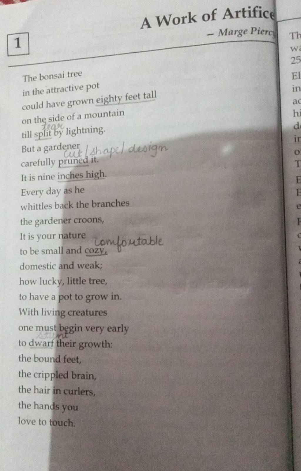 A Work of Artifice 1 The bonsai tree in the attractive pot could have gro..