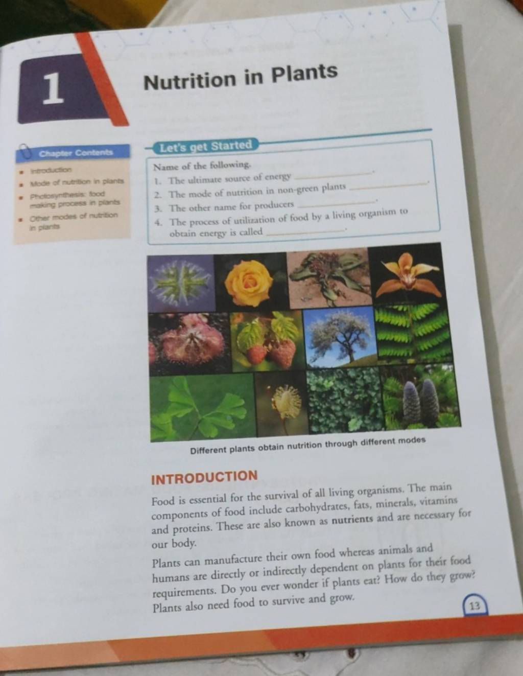 Nutrition in Plants Different plants obtain nutrition through different m..