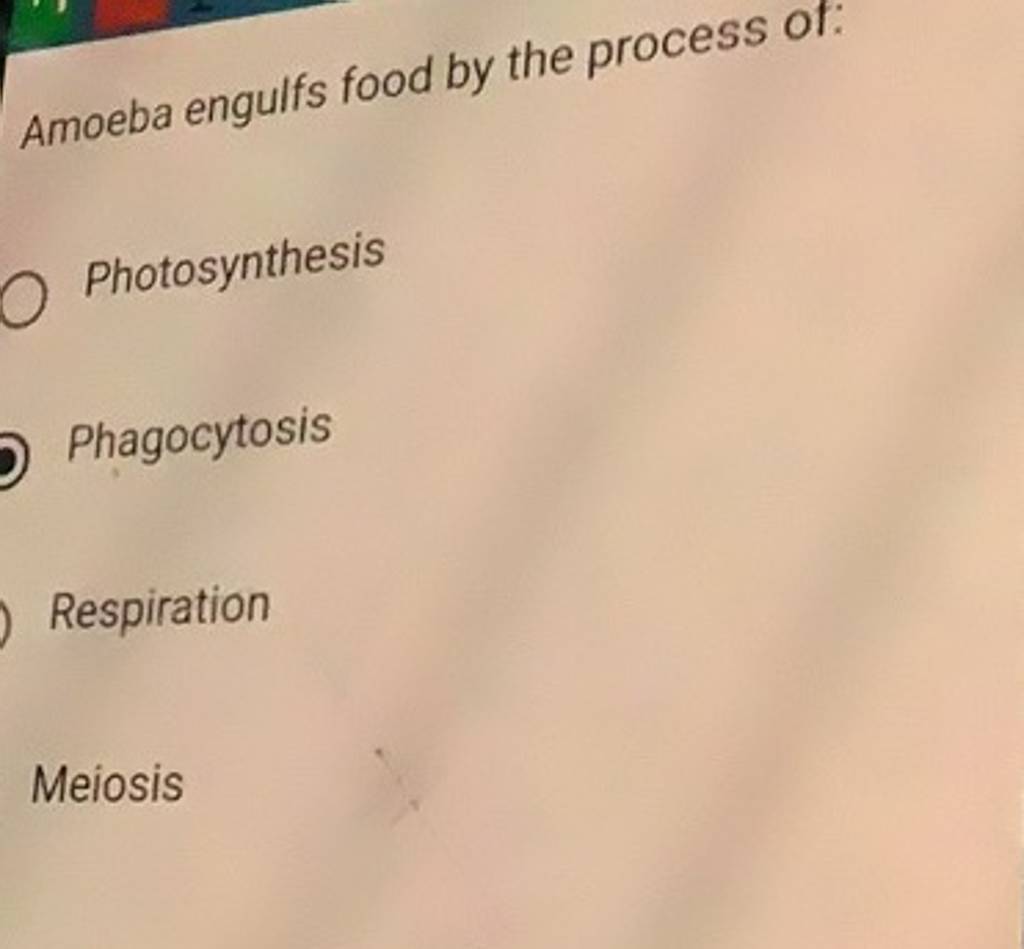 Amoeba engulfs food by the process of: | Filo