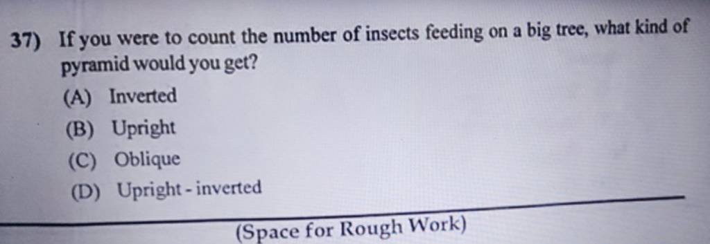 If you were to count the number of insects feeding on a big tree, what k..