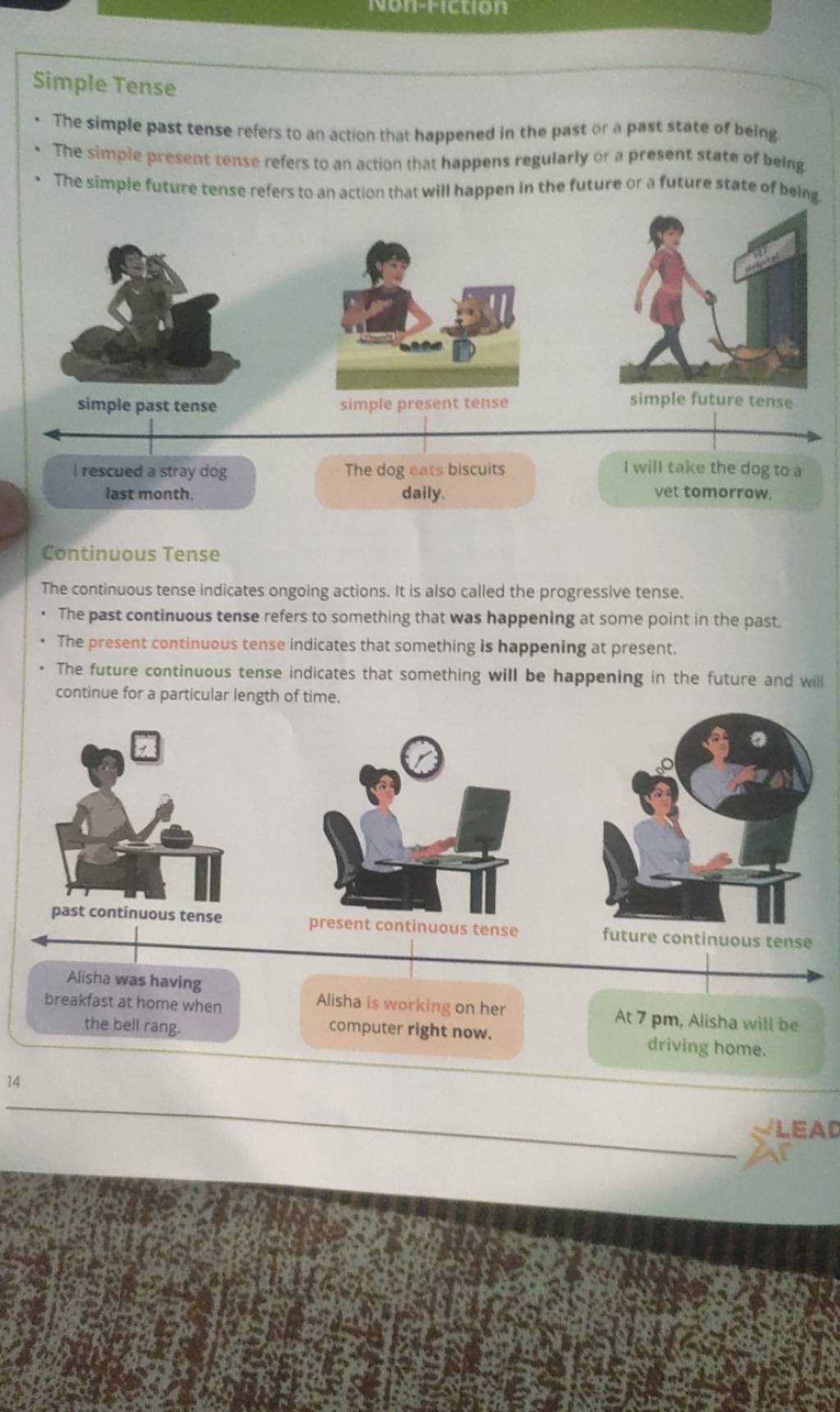 14 Simple Tense The simple past tense refers to an action that happened i..