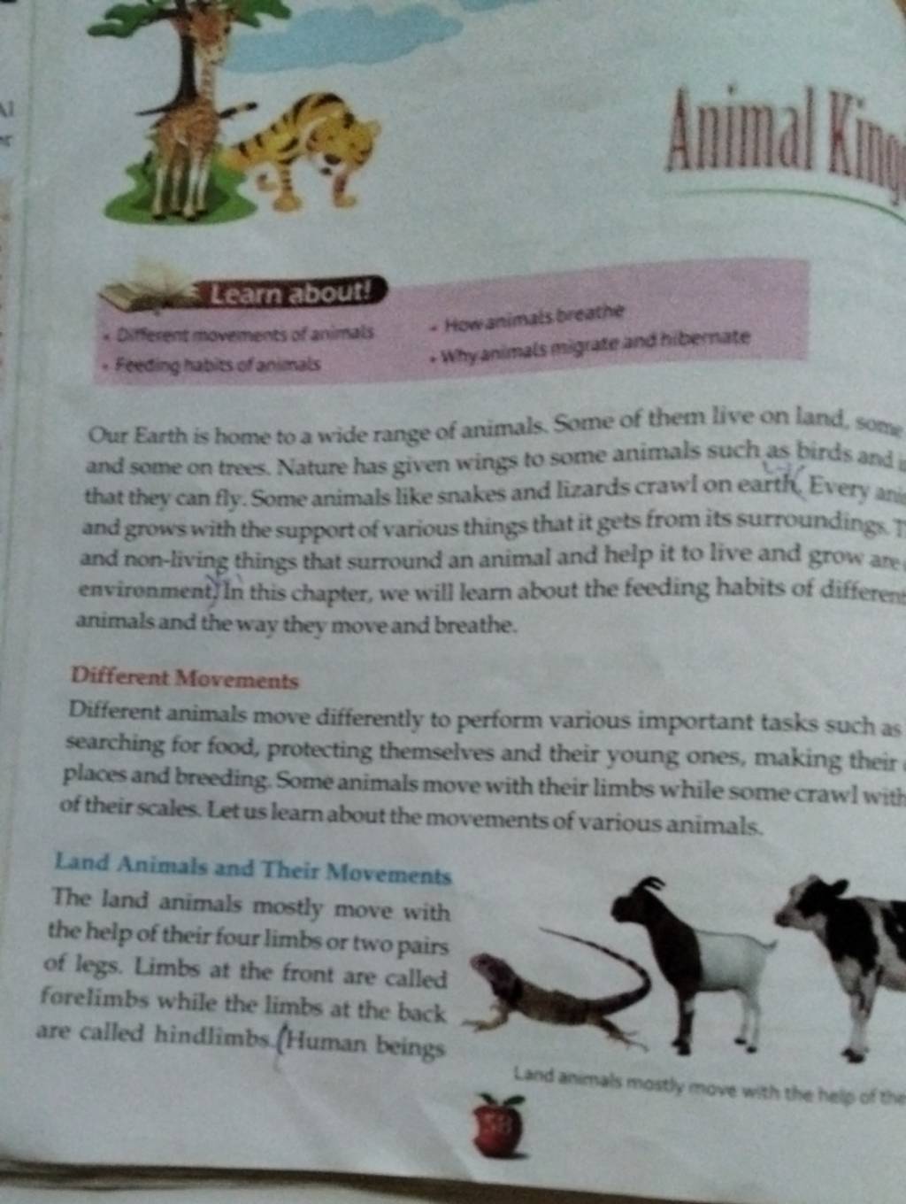 Learn about? * Different movements of animals - Howanimals breathe - Feec..