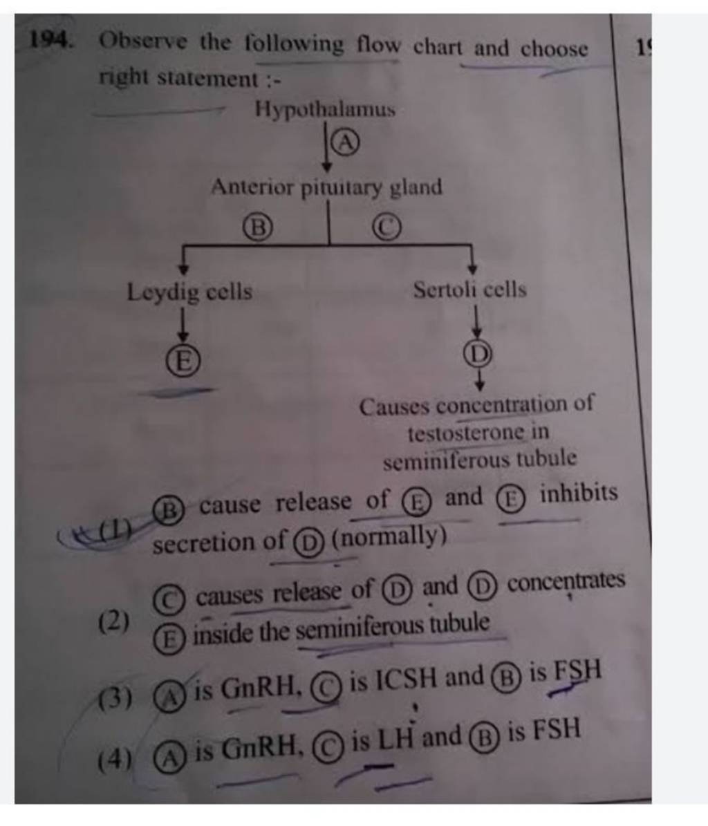 194. Observe the following flow chart and choose 11 right statement :- Hy..