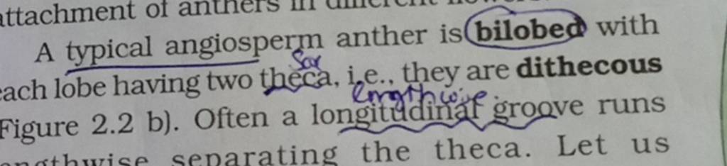 A typical angiosperm anther is bilobed with ach lobe having two theca, ie..